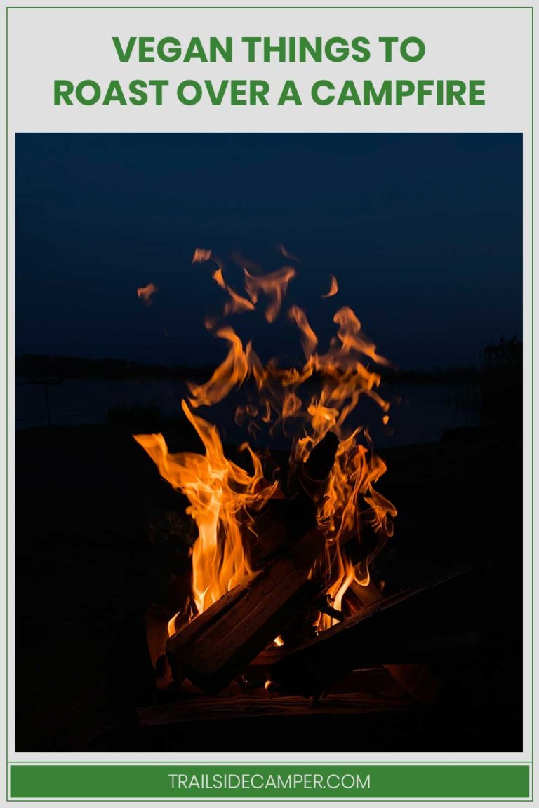 Vegan things to roast over a campfire - Trailside Camper